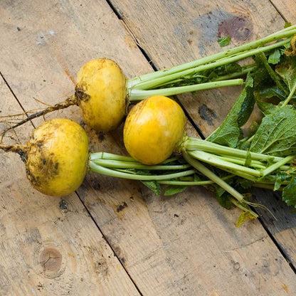 Turnip Golden Ball Seeds | Grow Your Own | Free UK Delivery – Gardeners ...