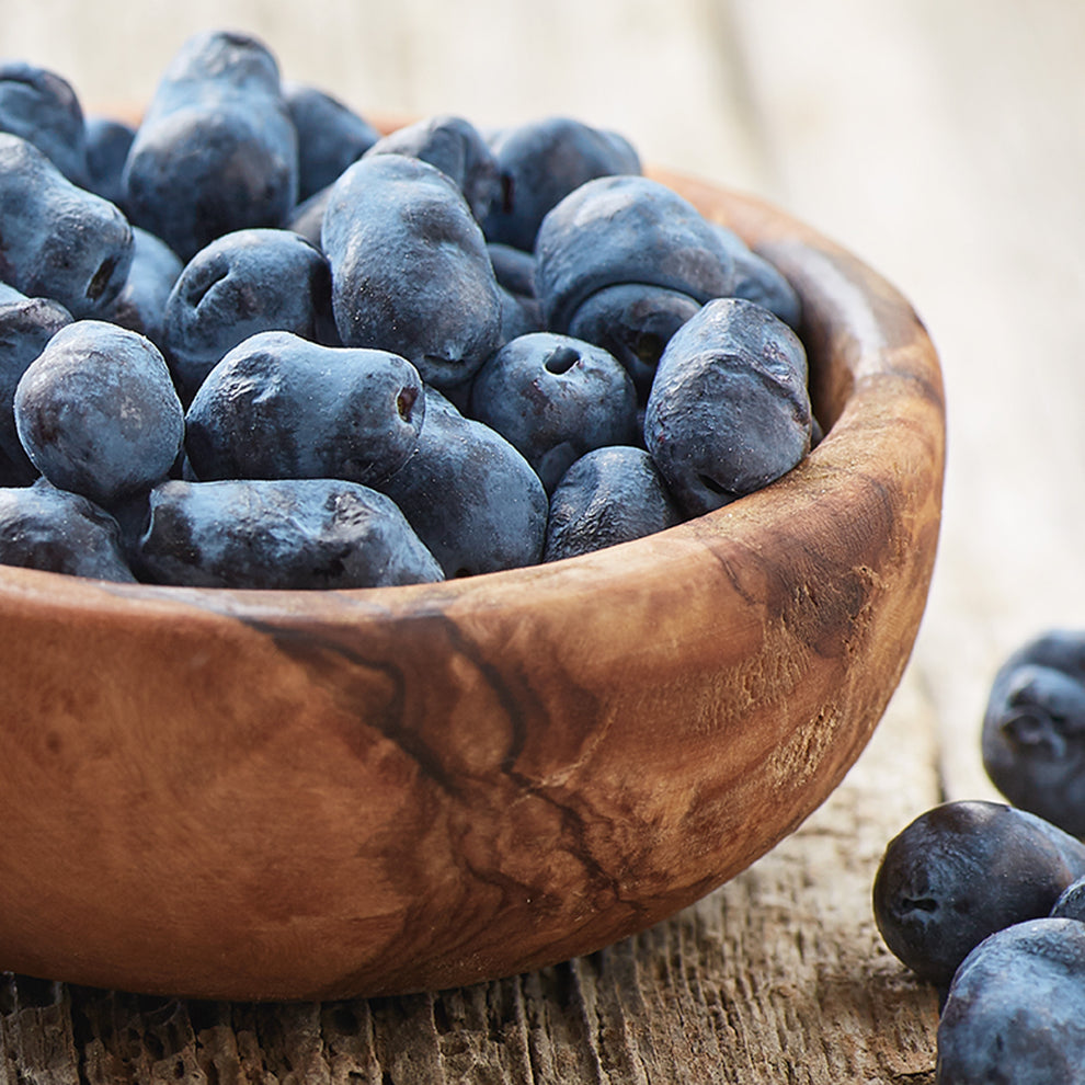 Honeyberry 'Strawberry Sensation' | Honeyberry – Gardeners Dream