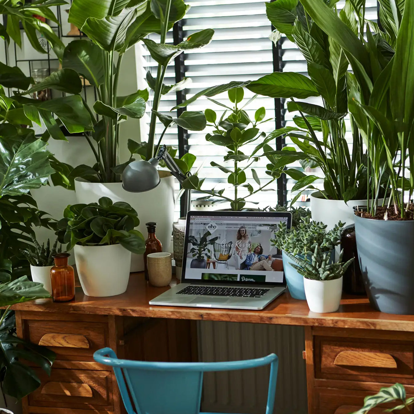 Elho Brussels Round Pot White | Indoor Plant Pot | Free UK Delivery ...