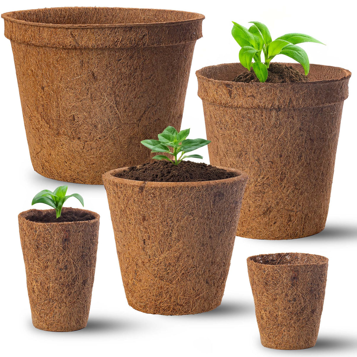 Coir Biodegradable Plant Pot | Outdoor Pots – Gardeners Dream