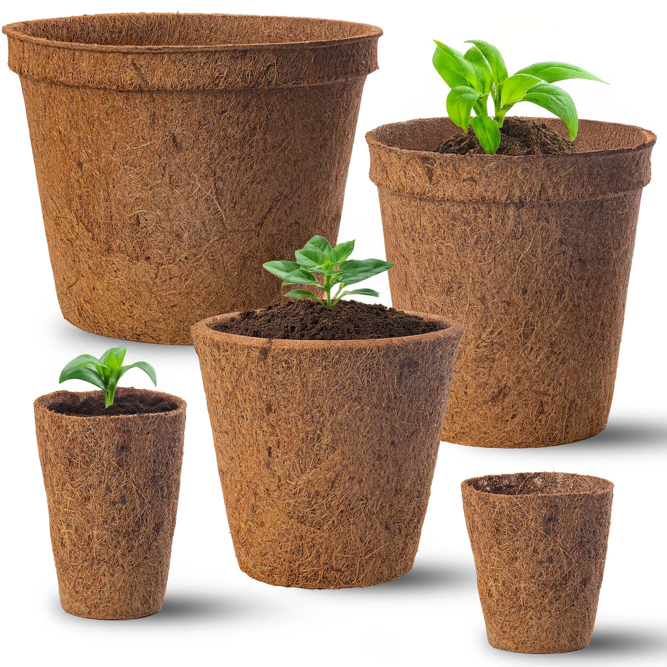 Coir Biodegradable Plant Pot | Outdoor Pots – Gardeners Dream
