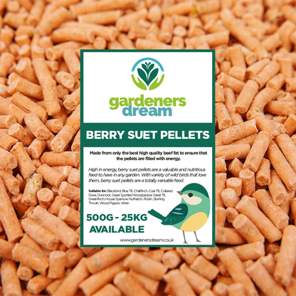 Gardeners Dream Berry Suet Pellets | Bird Food