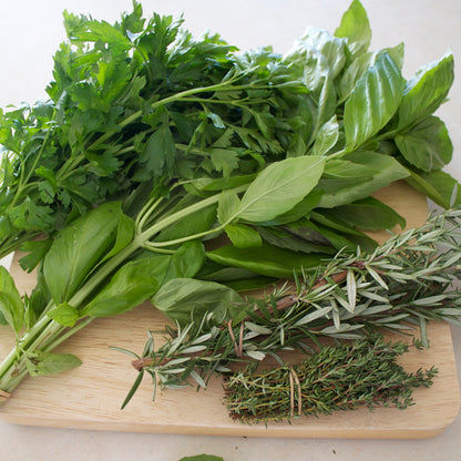 Herb Mix - 9cm | Mixed Varieties – Gardeners Dream