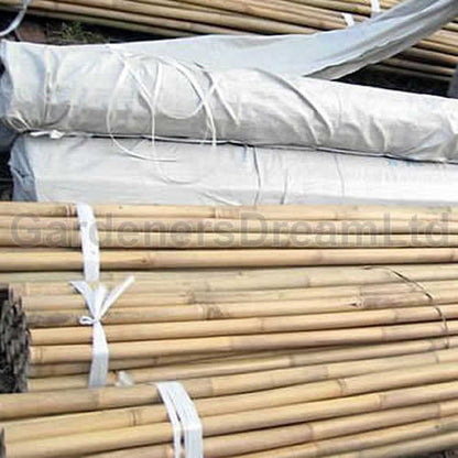 Bamboo Canes | Garden Canes | Bamboo Garden Canes | Gardeners Dream