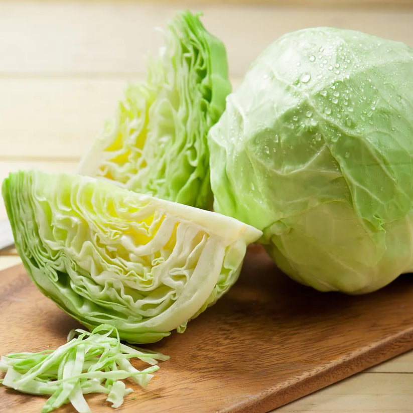 Round Cabbage Carry Pack | Cabbage – Gardeners Dream