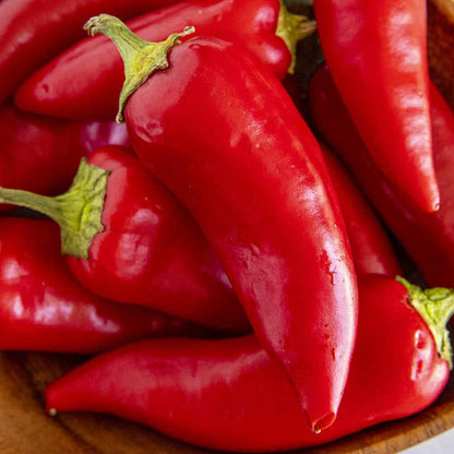 Chilli Fresno | Chilli Pepper – Gardeners Dream