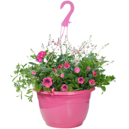 Pink Shades Hanging Basket Plants | Mixed Varieties – Gardeners Dream