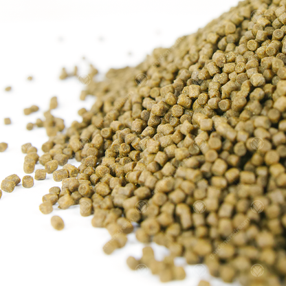 Gardeners Dream Tropical Catfish Pellets | Fish Food