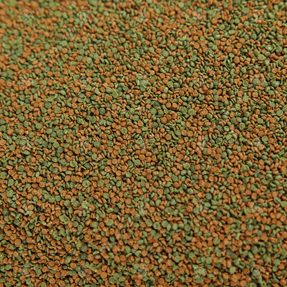 Gardeners Dream Discus Granules | Fish Food