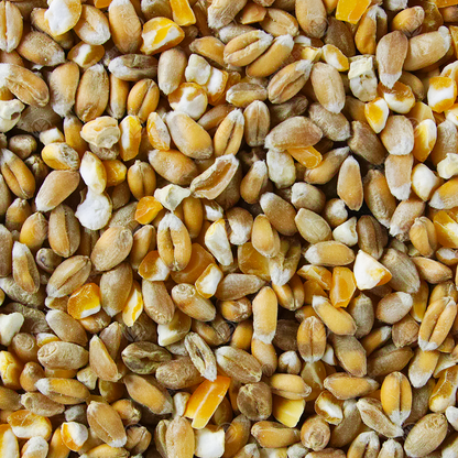 Gardeners Dream Mixed Poultry Corn | Bird Food