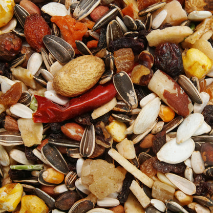 Gardeners Dream Parrot Fruit (Tubs) | Bird Food