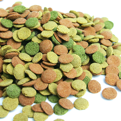 Gardeners Dream Small Fish Wafers | Fish Food
