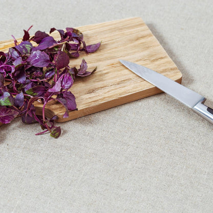 Basil Purple Herb Plants | Ocimum basilicum var. purpurascens ...