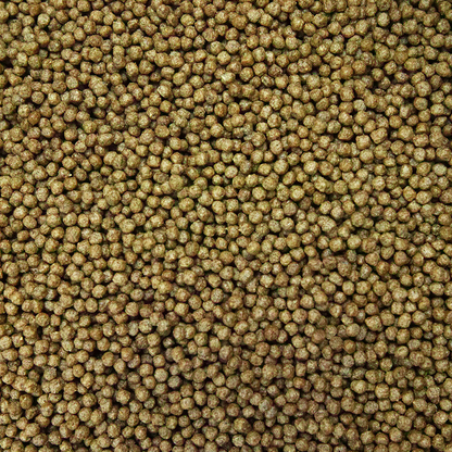 Gardeners Dream Wheat Germ Fish Pellets (Tubs) | Fish Food