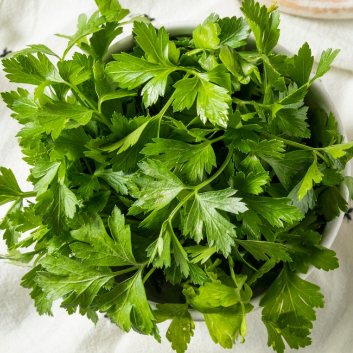 Parsley Flat Carry Pack | Parsley Flat – Gardeners Dream