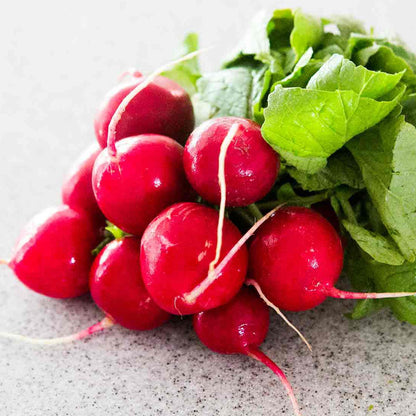 Radish Carry Pack | Radish – Gardeners Dream