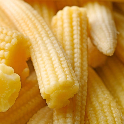 Sweetcorn 'Minipop' | Sweetcorn – Gardeners Dream
