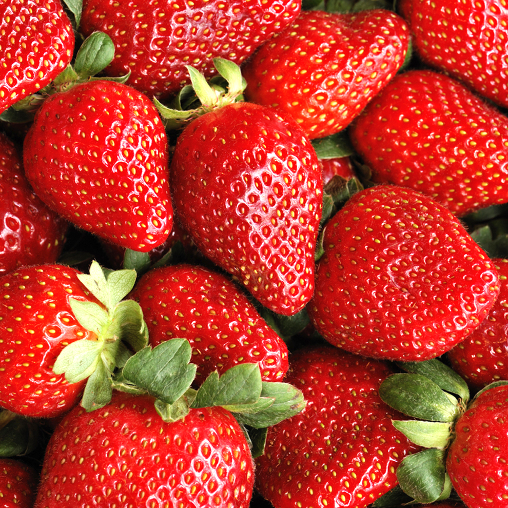 Strawberry 'Sweetheart' | Strawberry – Gardeners Dream
